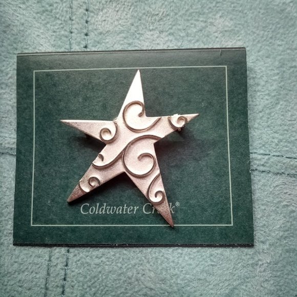 Coldwater Creek | Jewelry | Coldwater Creek Brushed Silver Star Pin ...